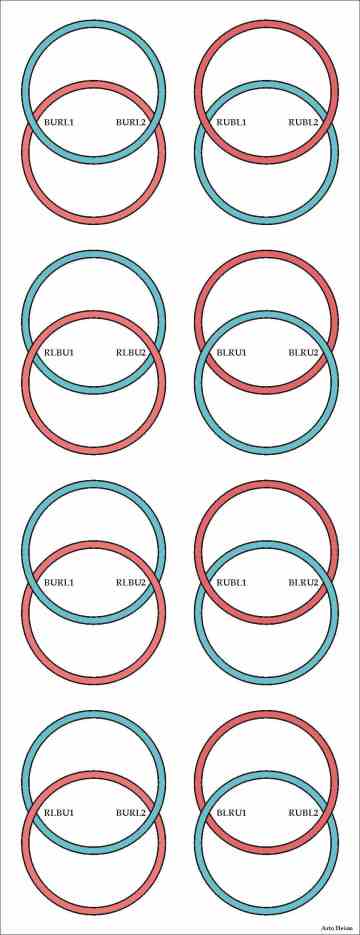 Multi-Filar Coils | Artojh's Renderings